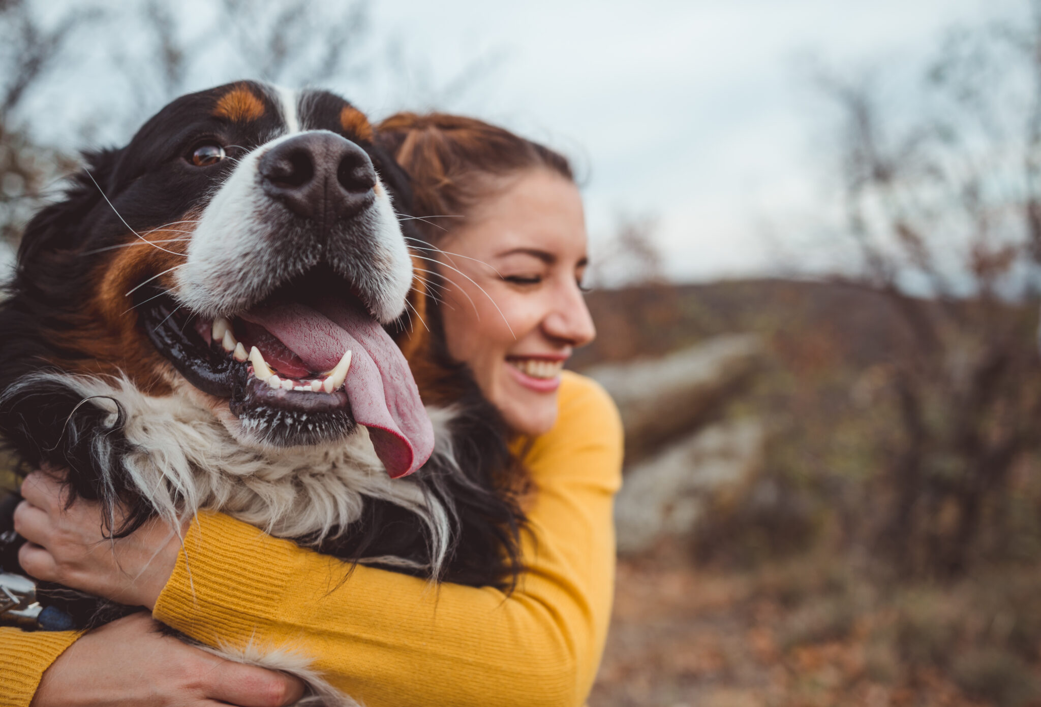 Intentional Well-Being | Center for Veterinary Social Work