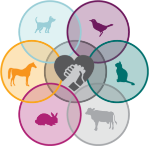 Home | Center for Veterinary Social Work