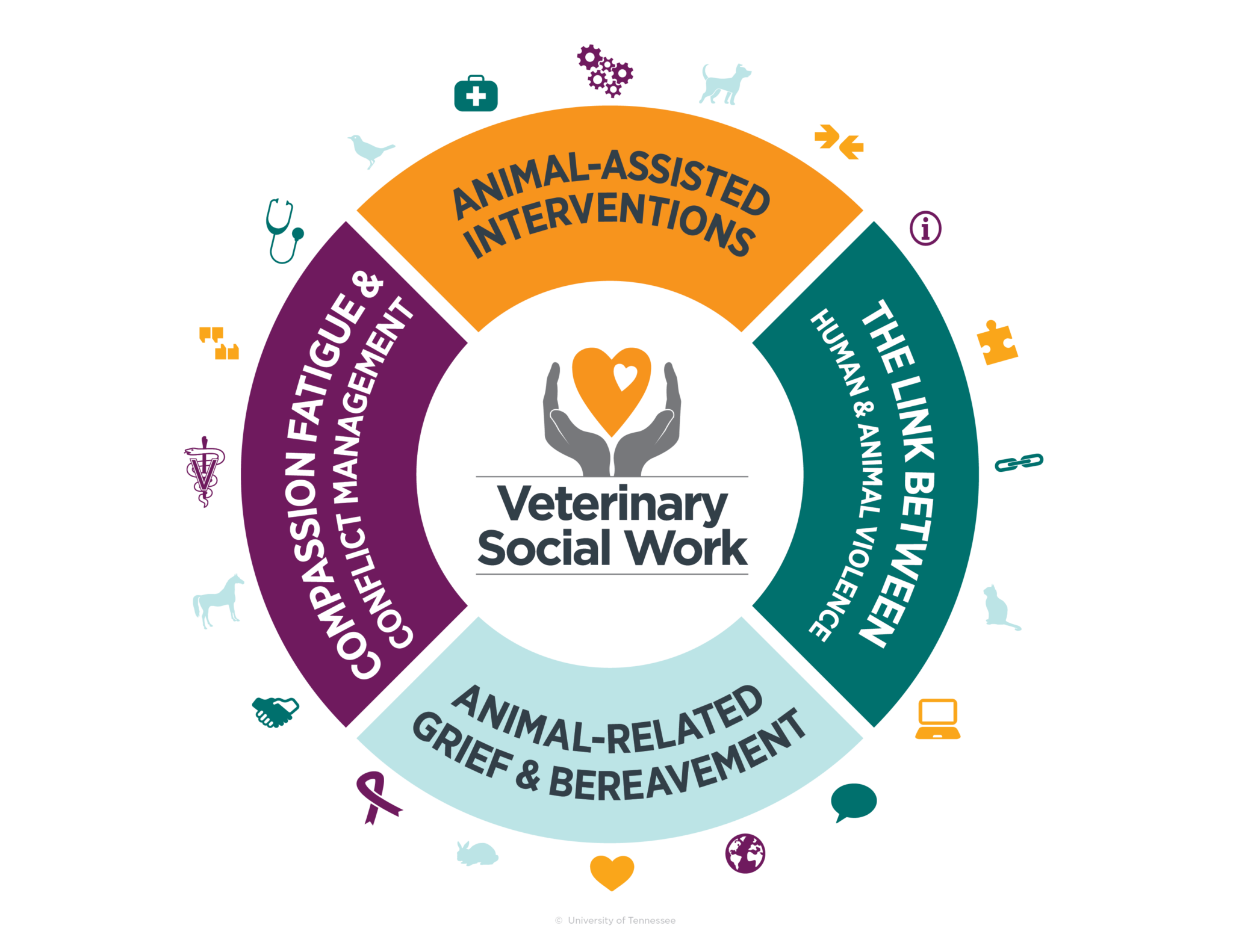 What is Veterinary Social Work? | Center for Veterinary Social Work