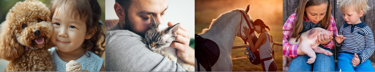 Pet Memorial Day 2024 | Center for Veterinary Social Work